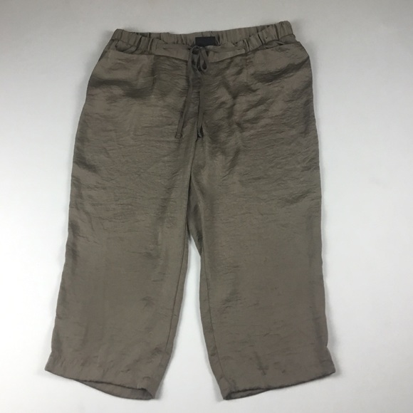 Lane Bryant | Pants & Jumpsuits | Lane Bryant Womens Plus Capris Sz 4 ...